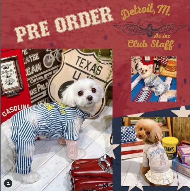 【snobbish babiesスナビッシュベイビーズ中目黒店】as know as de wanで飼い主と愛犬がお揃いコーディネート ...