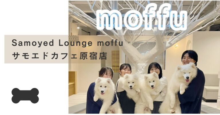 原宿表参道のサモエドカフェ・サモエドラウンジモフの料金や利用方法、10匹のプロフィールを取材！ | いぬのこと。｜犬がもっと好きになる動画紹介サイト