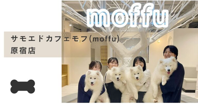 原宿表参道のサモエドカフェmoffu(モフ)の料金や利用方法・10匹のプロフィールを取材！ | いぬのこと。｜犬の動画や豆知識が毎日見つかるサイト